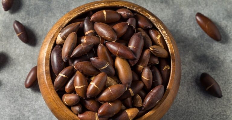 Move Over Almonds — Meet the Baru Nut - Woodlands Institute for Health ...
